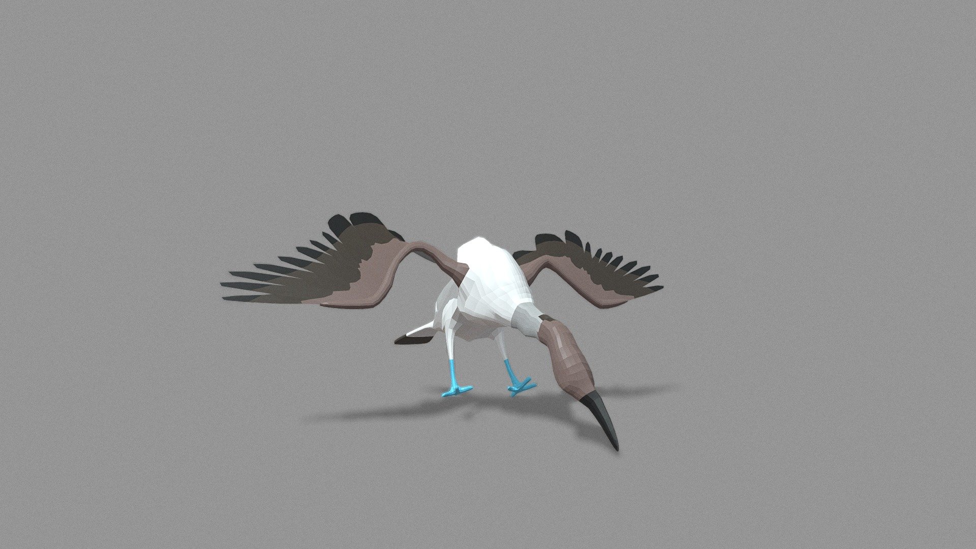 bird - Download Free 3D model by Paleo Modelist (@victory_) [81fb335 ...