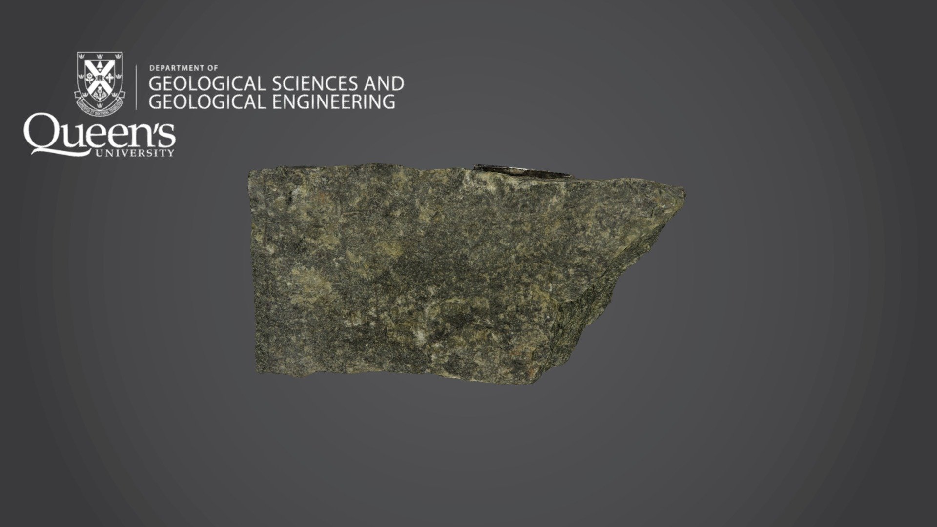 Gabbro - Download Free 3D model by GSGEQueens [8203d24] - Sketchfab
