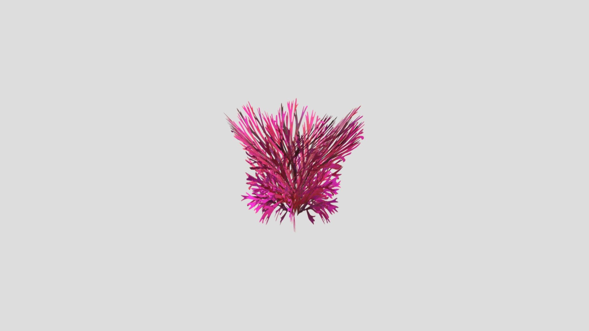 algae - Download Free 3D model by OwenCalingasan [8204420] - Sketchfab