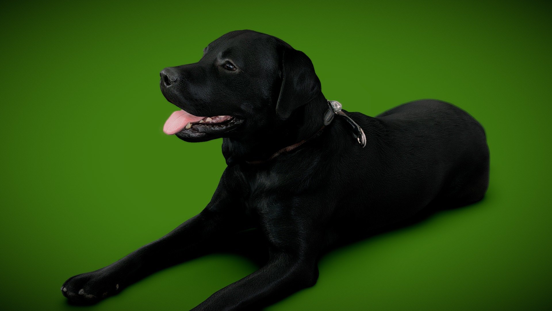 DOG A L1 Retopo Eyes - 3D model by Frank.Zwick (@Frank_Zwick) [820872e ...