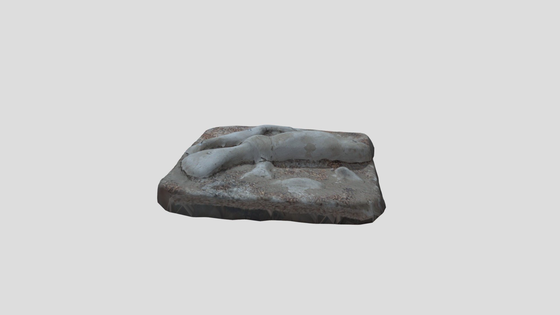 Stinky fish - Download Free 3D model by Noidoi (@gfyf372) [8210bde ...