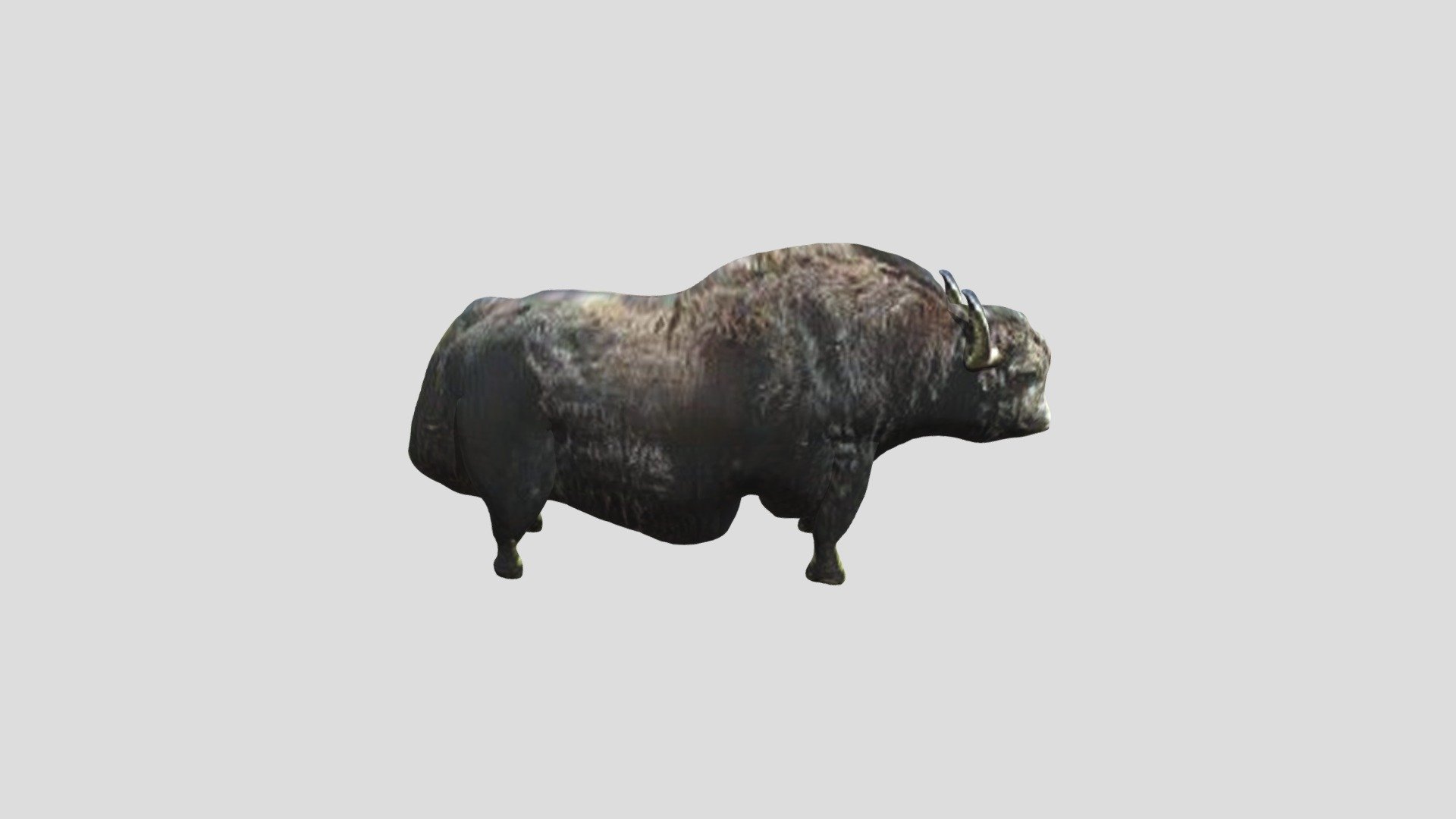 Yak - Download Free 3D model by Rainbow Yoshi Gun (@yoshi2024-2025 ...