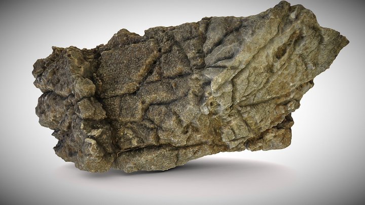 Muav 3D models - Sketchfab