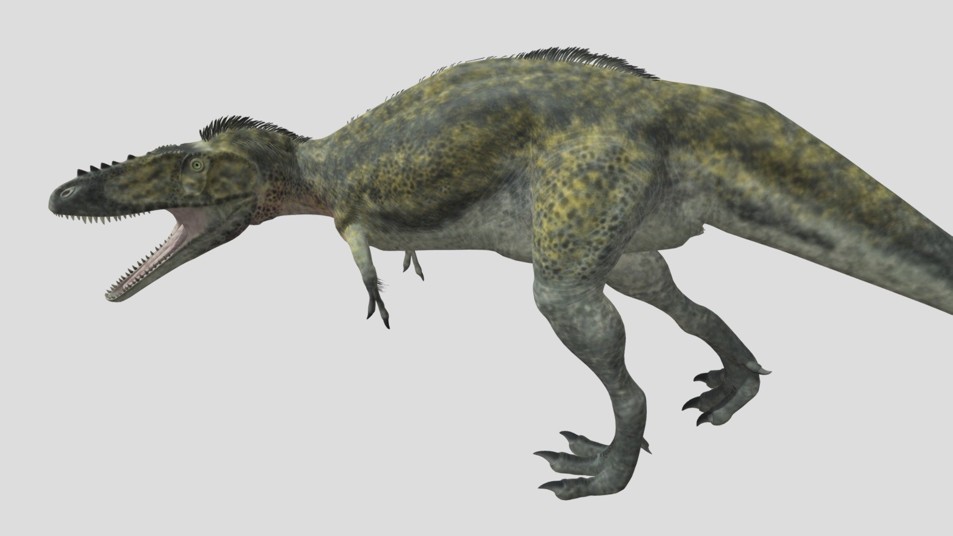 alioramus - Download Free 3D model by seth the yutyrannus ...