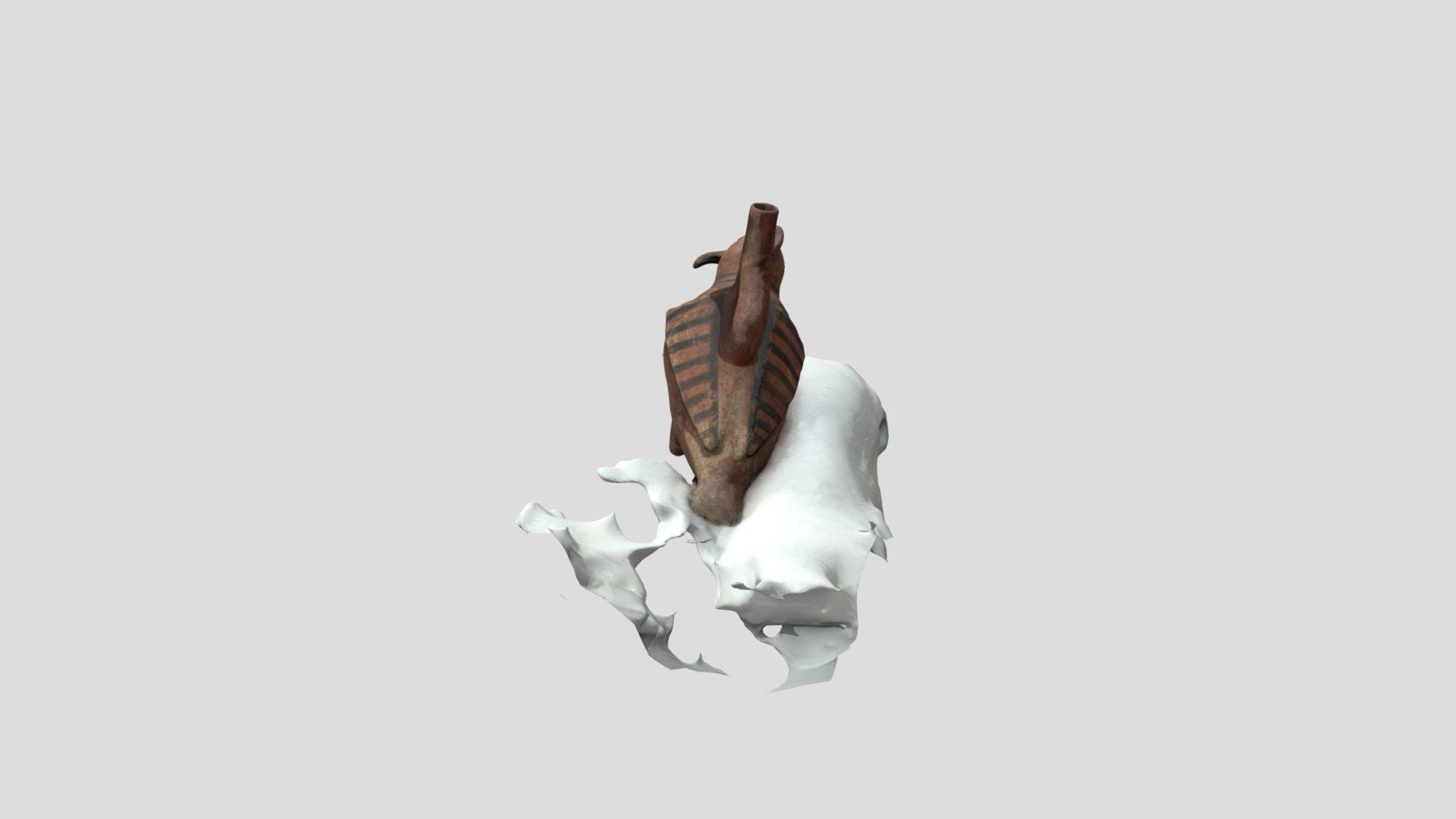 Moche Bird - 3D model by devohng [8245e71] - Sketchfab
