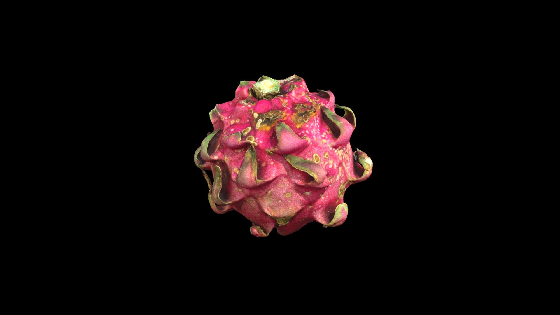 Dragon Fruit - 3D model by Locavore NXT (@Locavore) [8247516] - Sketchfab