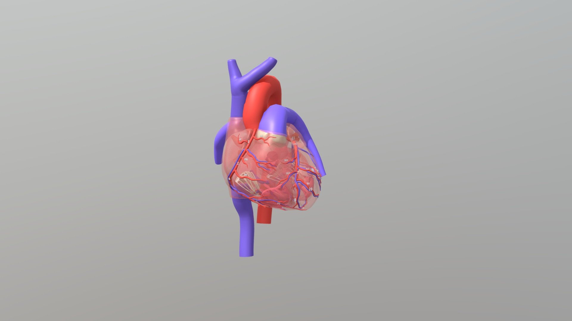 HART_TEST - 3D model by 22104_kei (@scamp.kei) [824fc42] - Sketchfab