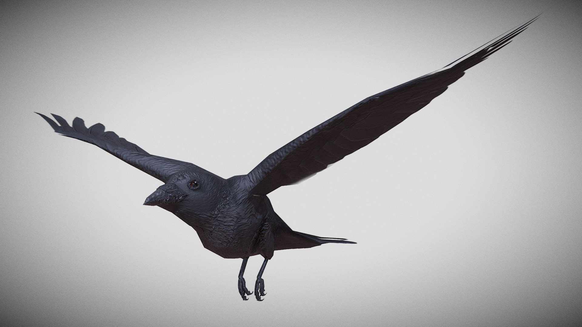 Lowpoly crow - 3D model by danielpshorter [8251f68] - Sketchfab