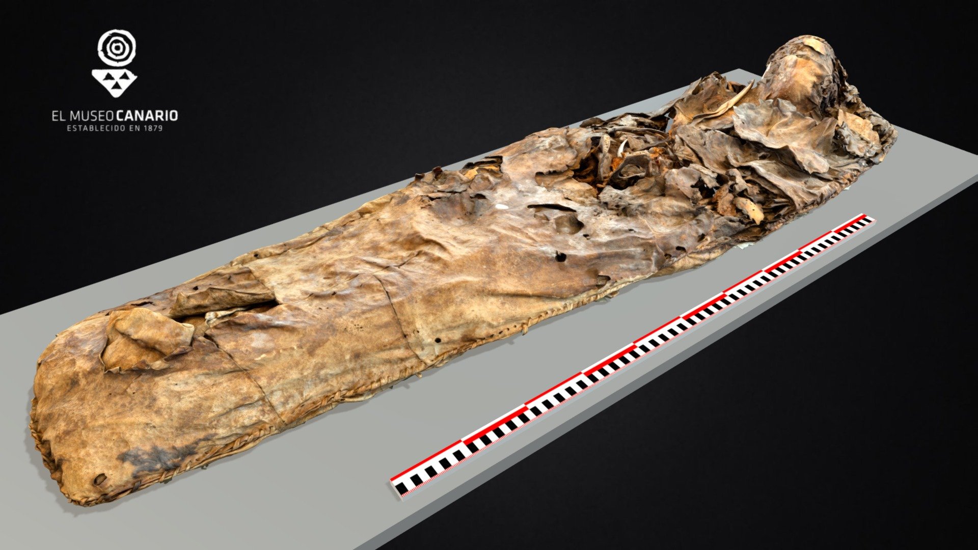 MOMIA DE MUJER (N.º de inventario: 11) - 3D model by El Museo Canario ...