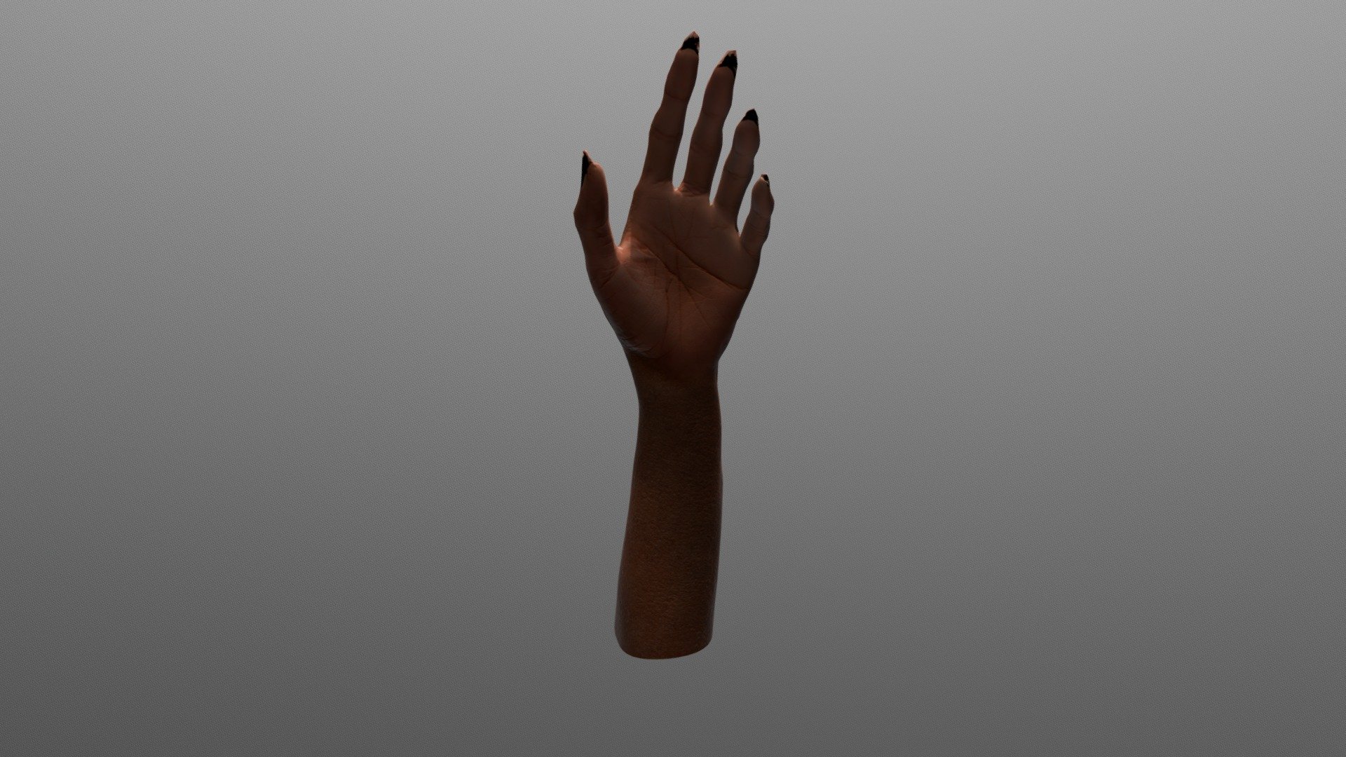 Hand2 - 3D model by monikazxcvbnm [8254954] - Sketchfab