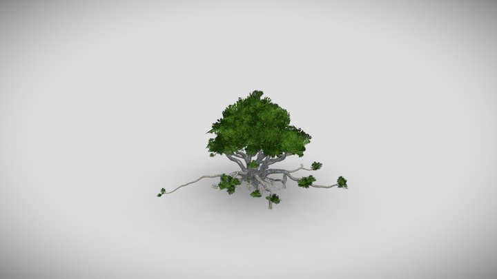 Banyan-tree 3D models - Sketchfab