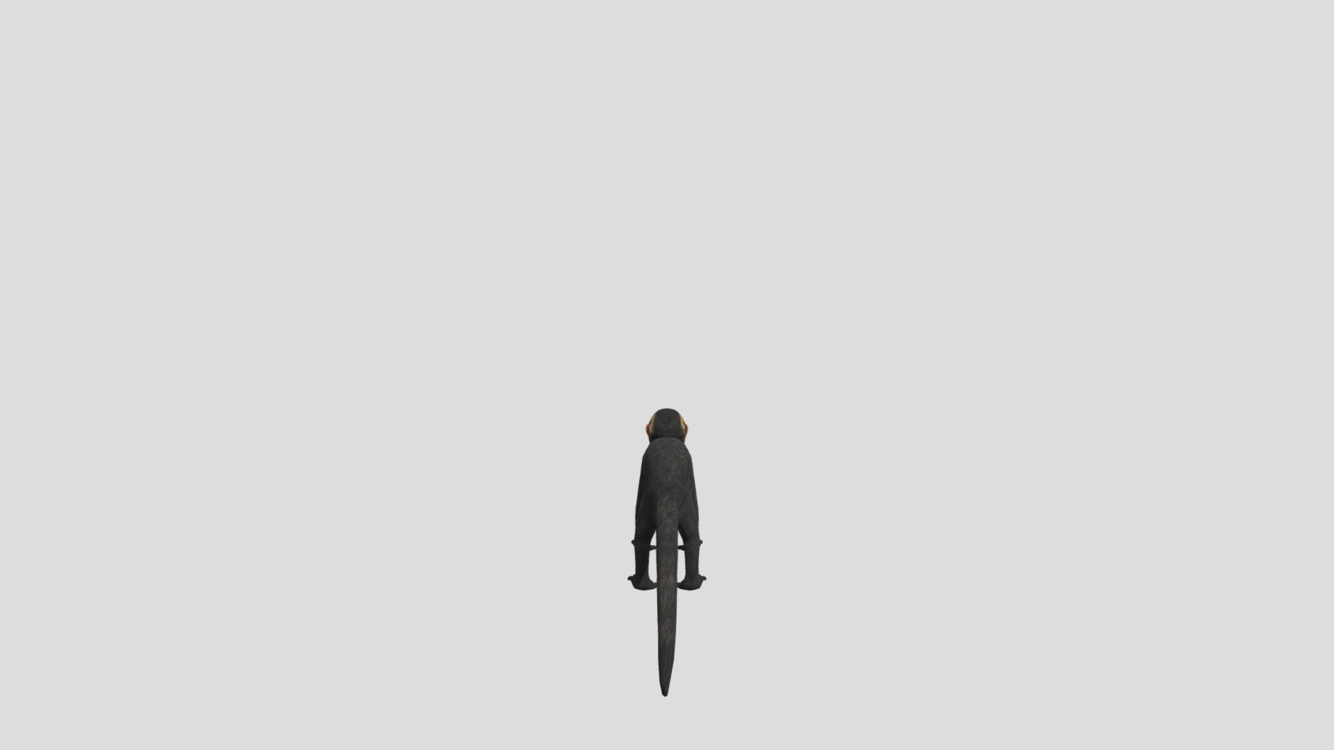 1472851777_monkey_p3dm.ru - Download Free 3D model by ...