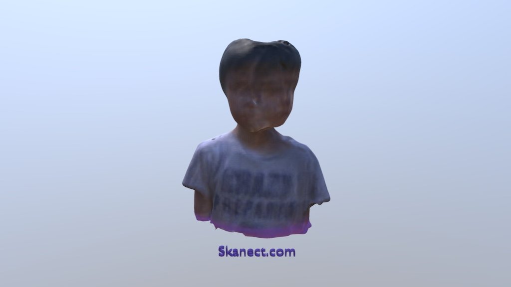 No l - 3D model by lmayorgav [826cf48] - Sketchfab