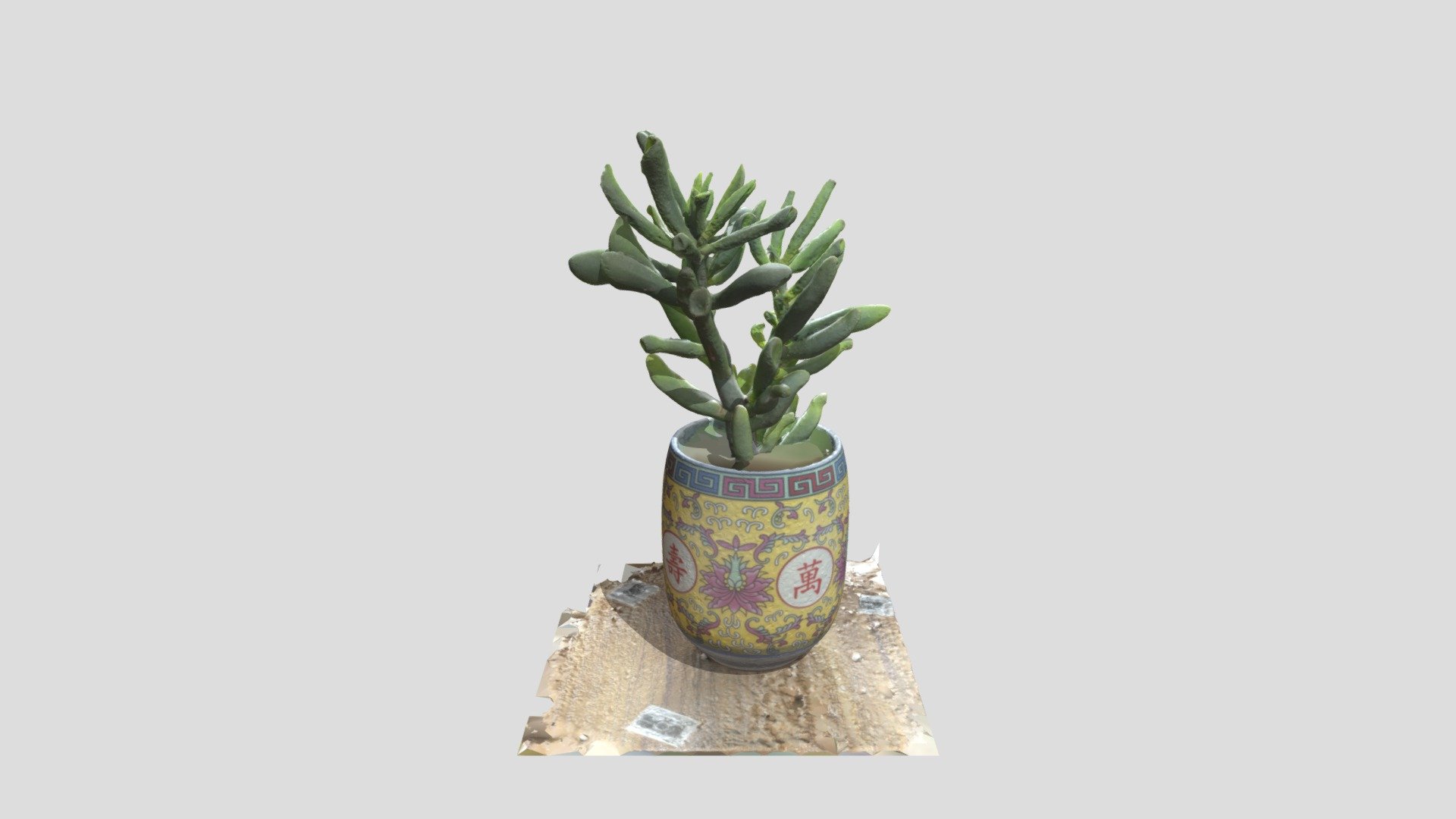 Succulent plant - 3D model by bgirault [826f6c5] - Sketchfab