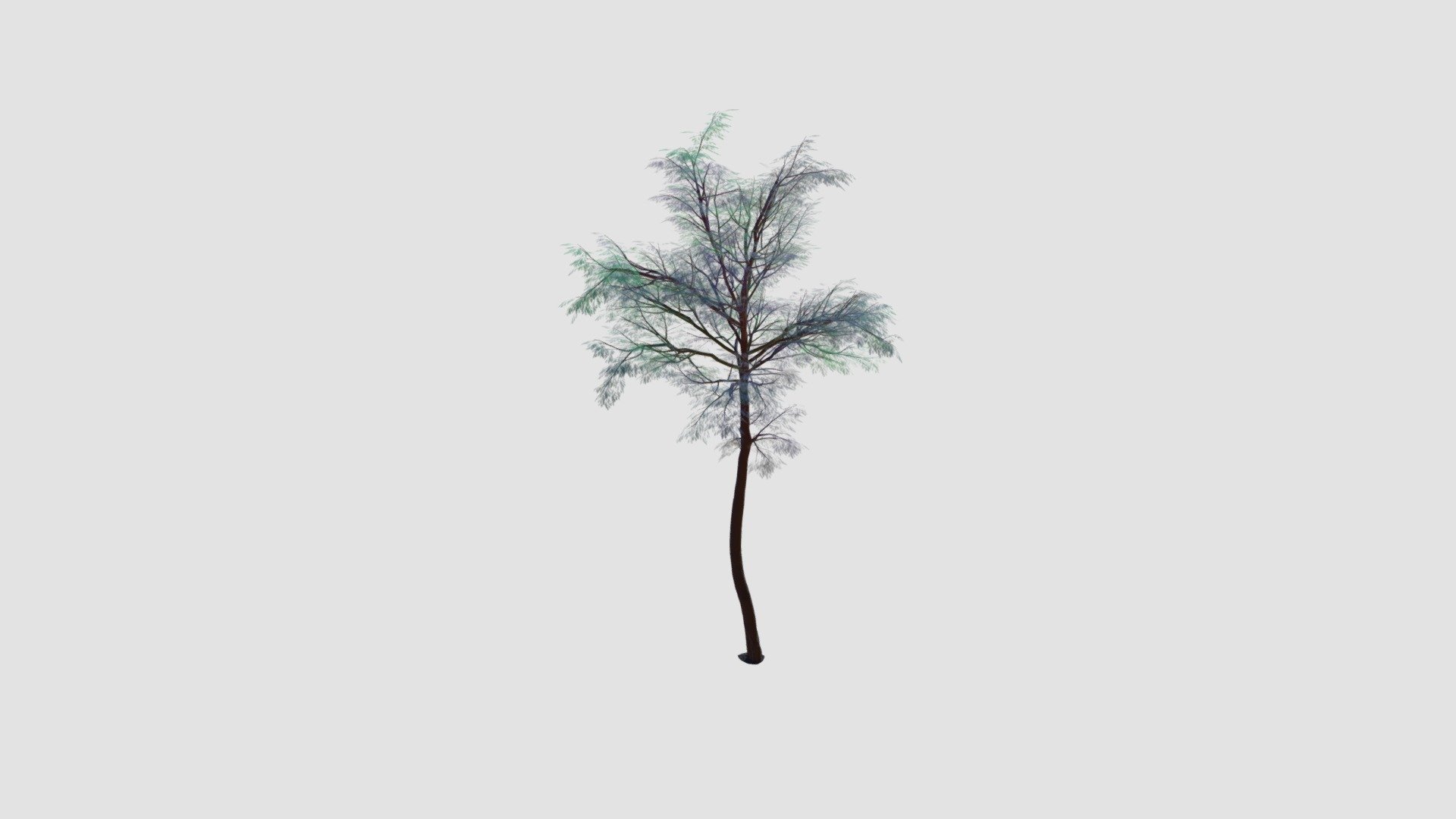 Tree - Buy Royalty Free 3D model by Evermotion [826f964] - Sketchfab Store