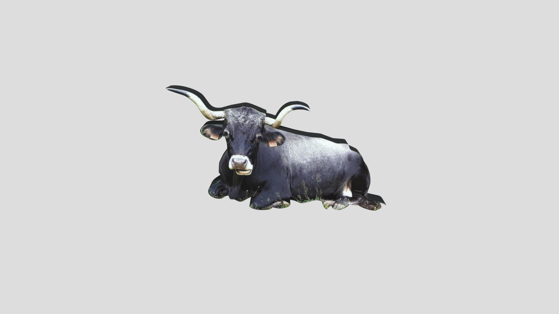 Vaca Tudenca Tumbada - Download Free 3D model by litonavarro [827f39e ...