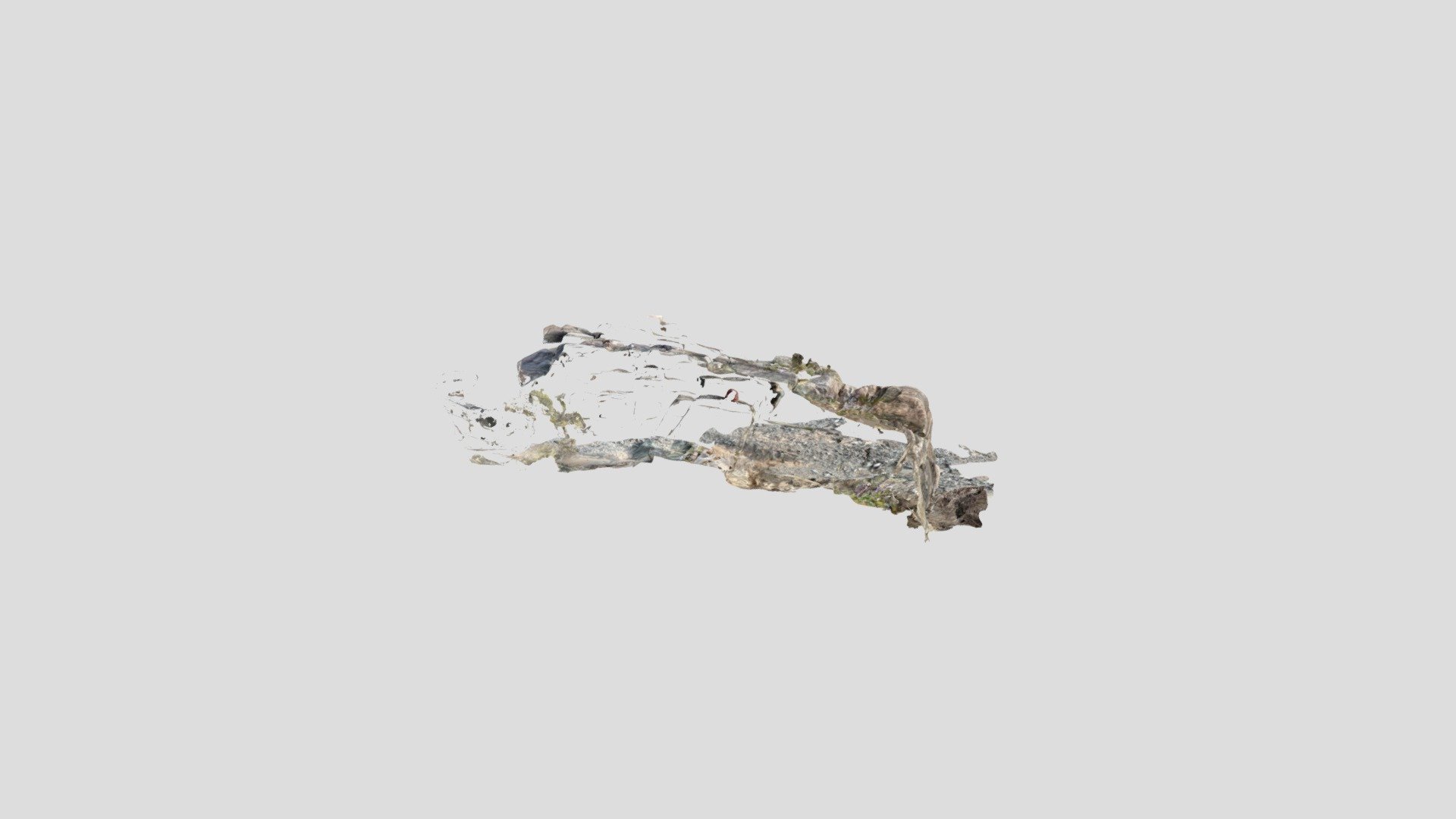 Bat cave wash boudin - Download Free 3D model by margo.odlum [8289bcd ...