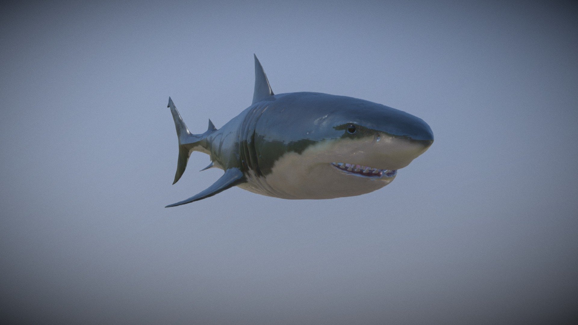 Shark - 3D model by Old_nomad (@Viktor.Yakin) [828dfce] - Sketchfab