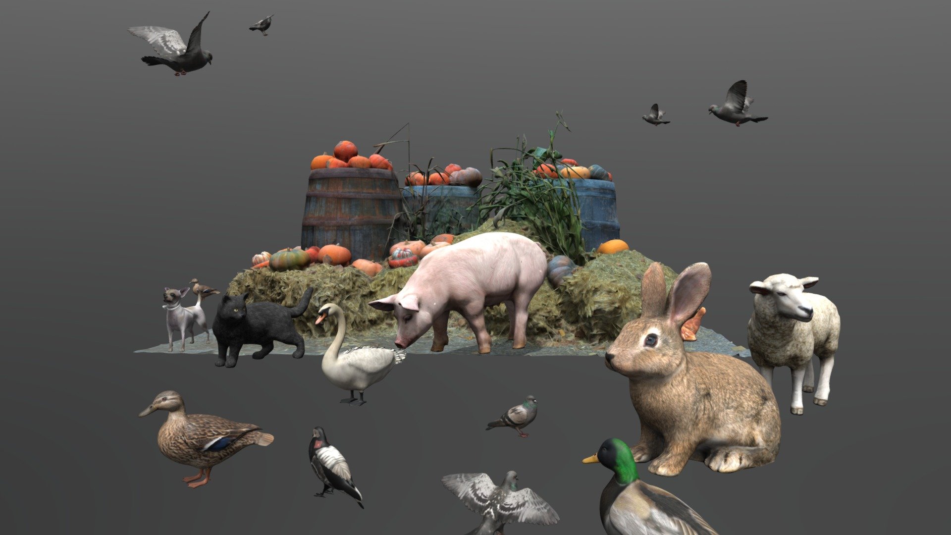 poultry - Buy Royalty Free 3D model by Mr.Jun [8290d22] - Sketchfab Store