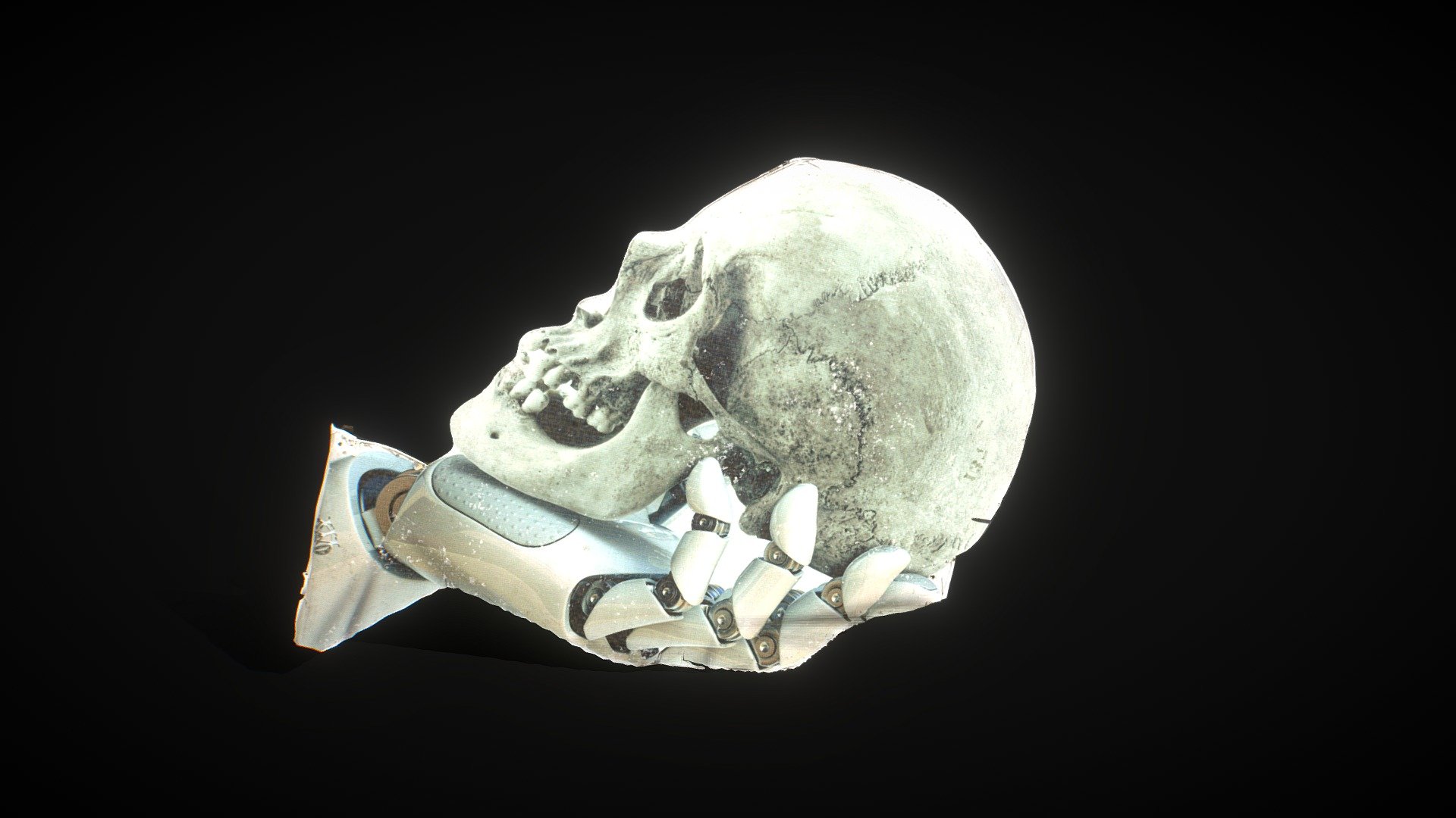 Vanitas - 3D model by not_really (@notreal) [829cdf1] - Sketchfab