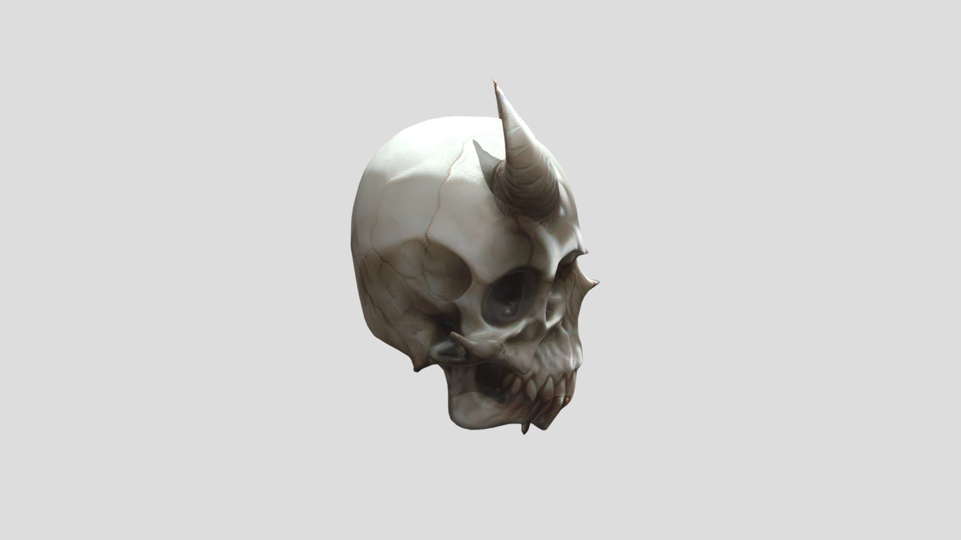 Skull L - Download Free 3D model by stefanorivera [82a17c1] - Sketchfab