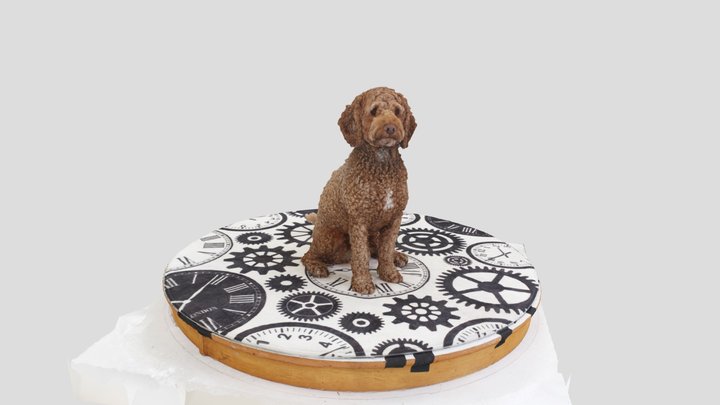 Cockapoo 3D models - Sketchfab
