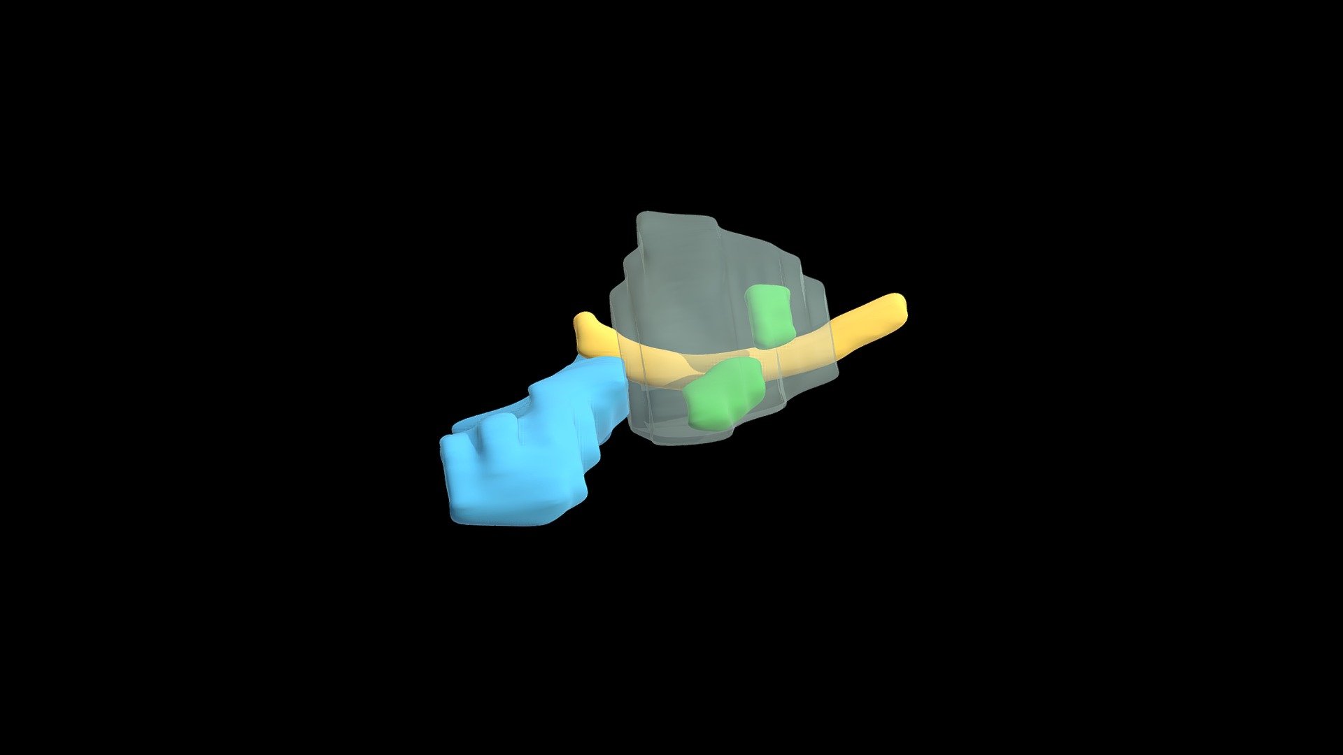 Prostate 40g / PIRADS 4 ZPD e PIRADS 3 Ápice D - Download Free 3D model ...