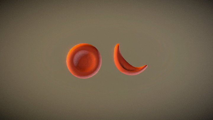 Rbc 3D models - Sketchfab Rbc 3D models - Sketchfab