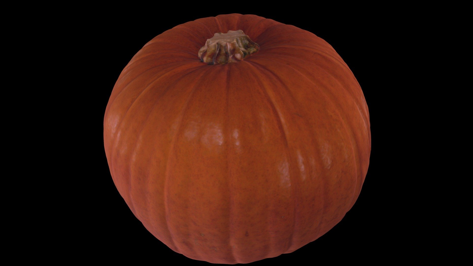 PUMPKIN - Download Free 3D model by NJMDesign [82ab953] - Sketchfab