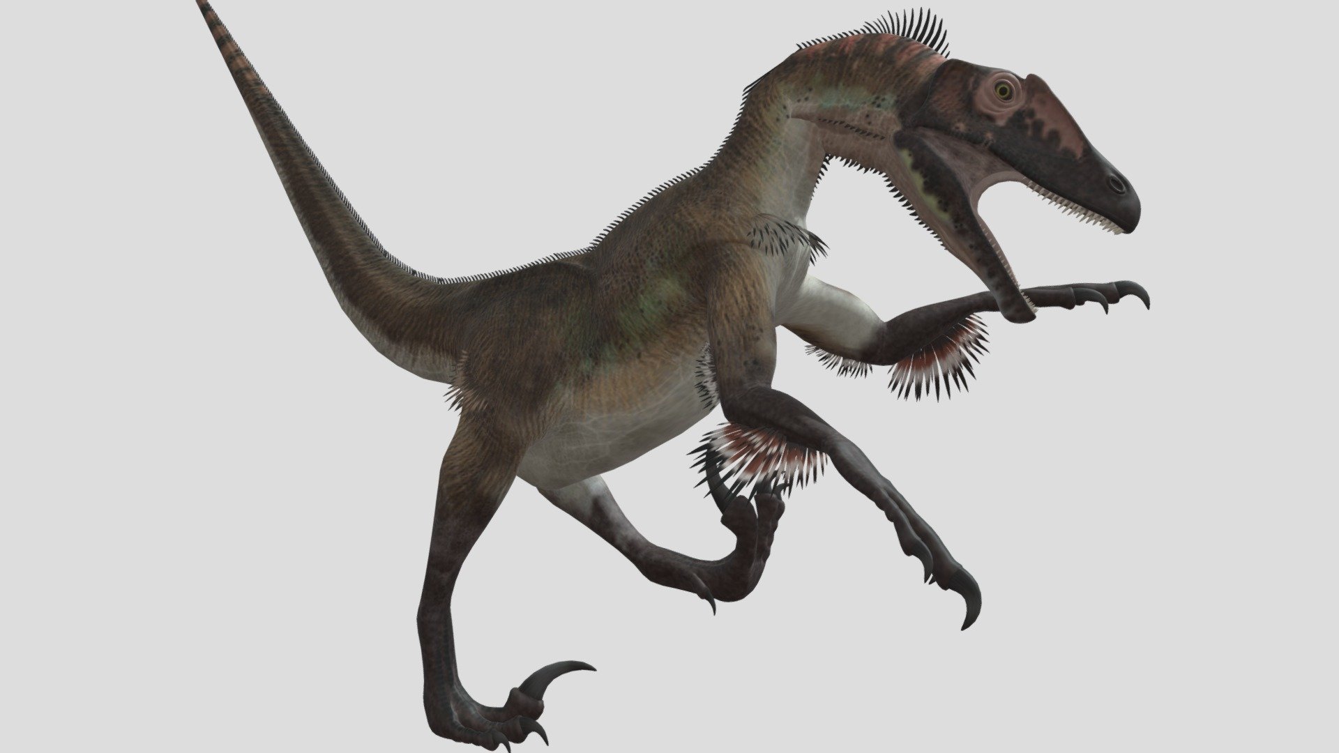 utahraptor - Download Free 3D model by seth the yutyrannus ...