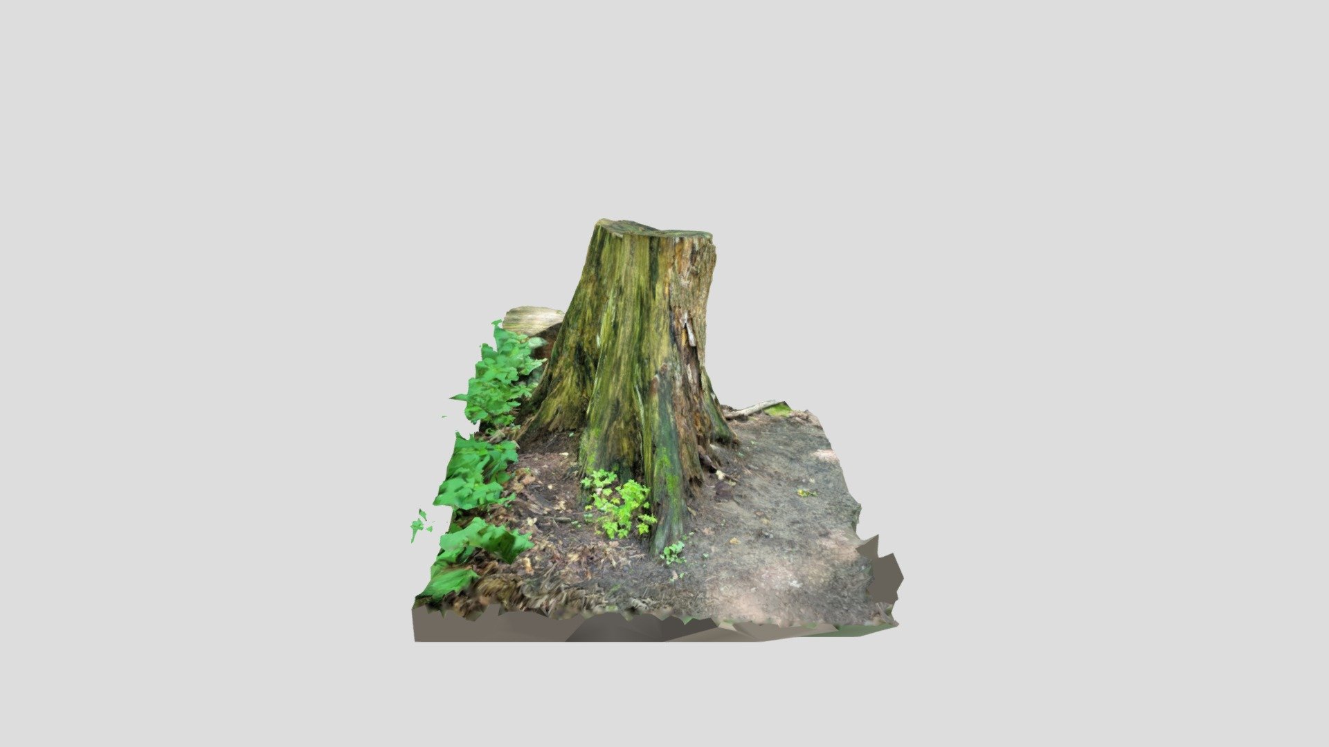 Large stump - Download Free 3D model by sfsen [82af343] - Sketchfab