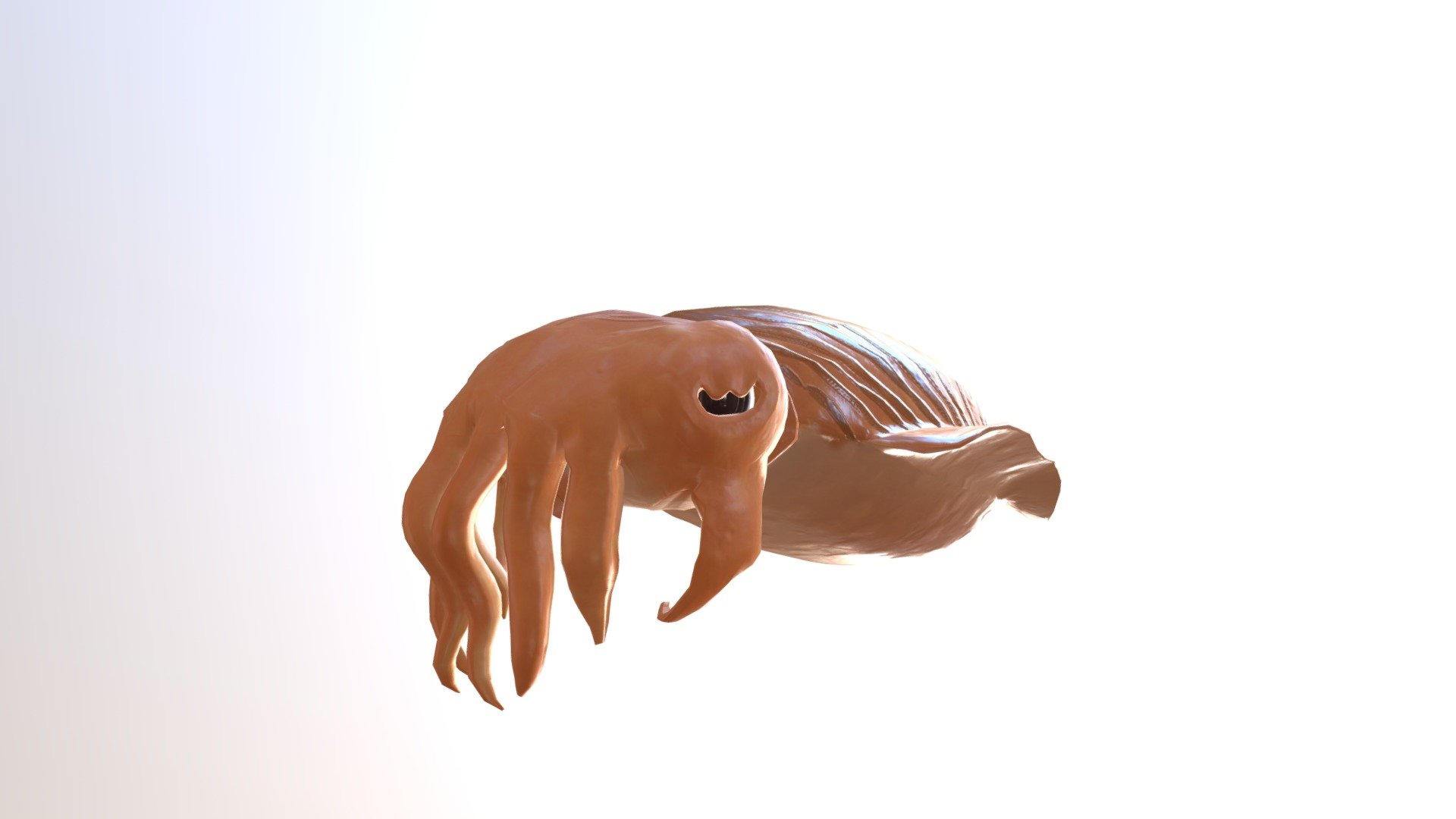 Cuttlefish - 3D model by StaciaHoneyArt (@StasiaHoneyArt) [82b1019 ...