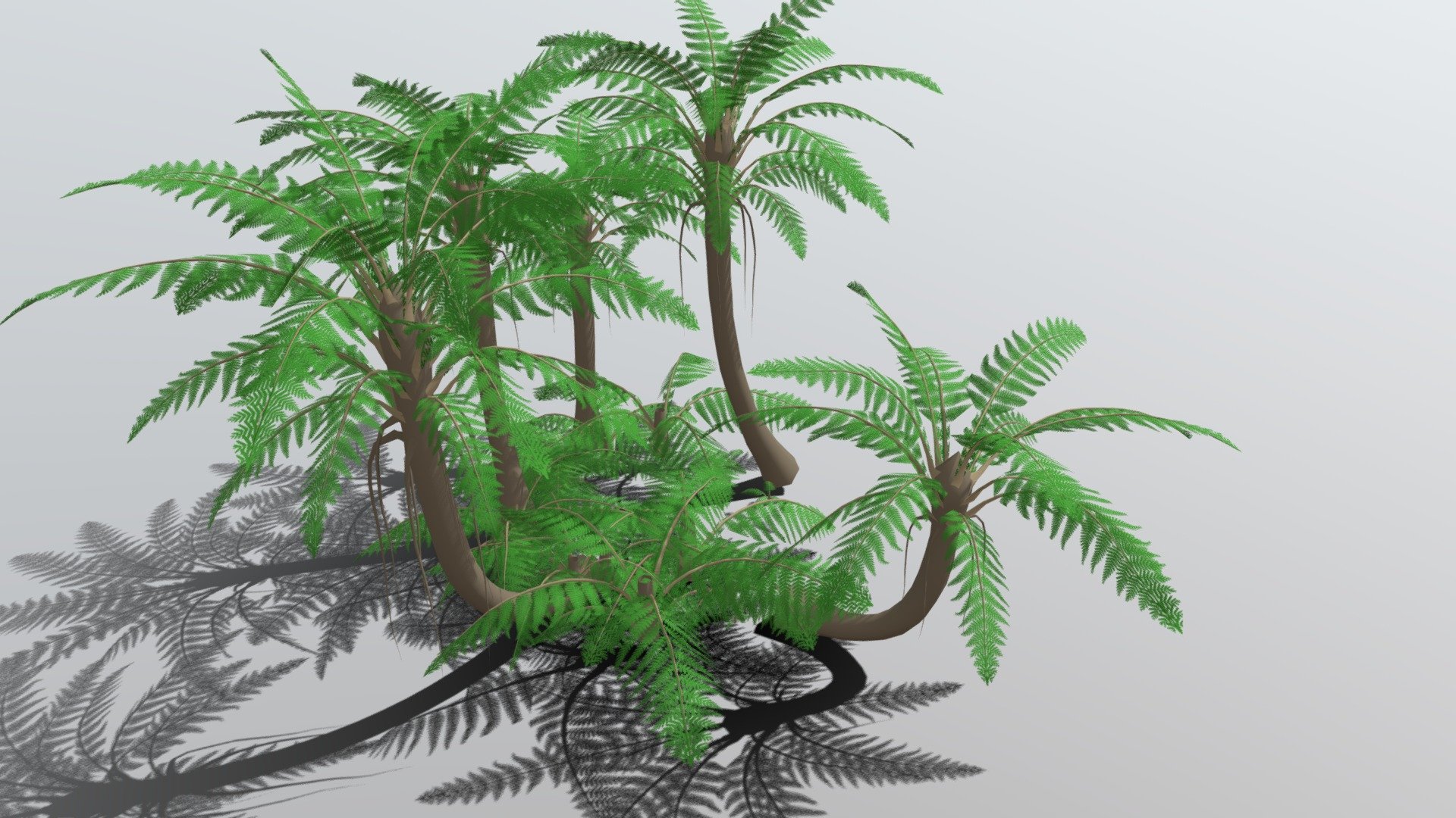 fern tree - 3D model by Paleobiome [82b1bdd] - Sketchfab