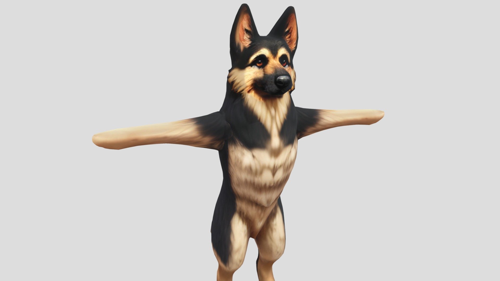 German Shepherd 3D Lowpoly Model - 3D model by rinadiana573 [82b8e27 ...