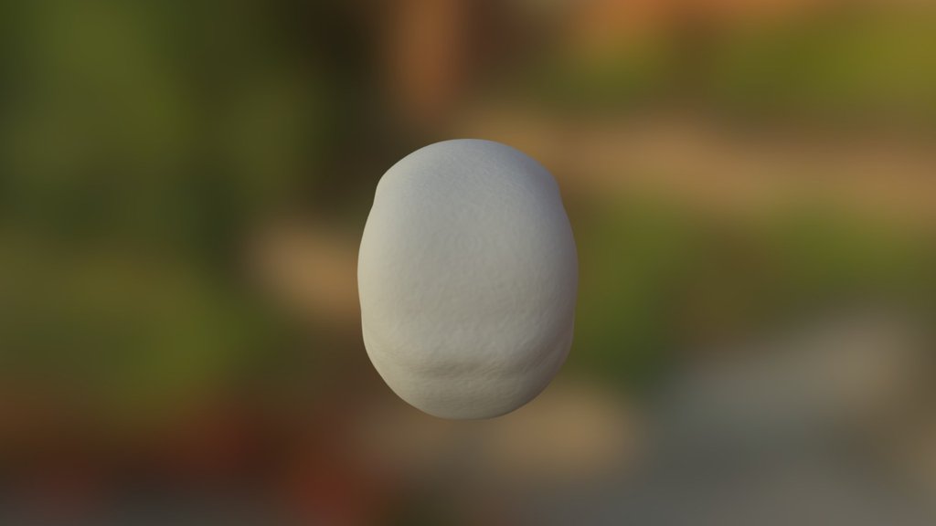 Neanderthal Skull Top - 3D model by bmcmatias [82ca165] - Sketchfab