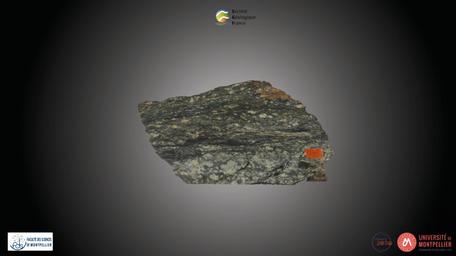 Roche - Métagabbro - Download Free 3D model by Société Géologique de ...