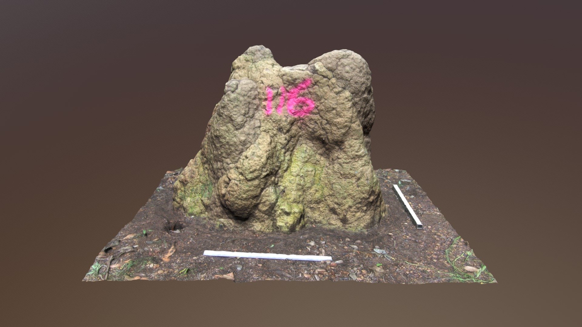 Termite mound Tp9-2016 - 3D model by pnauer [82d2870] - Sketchfab