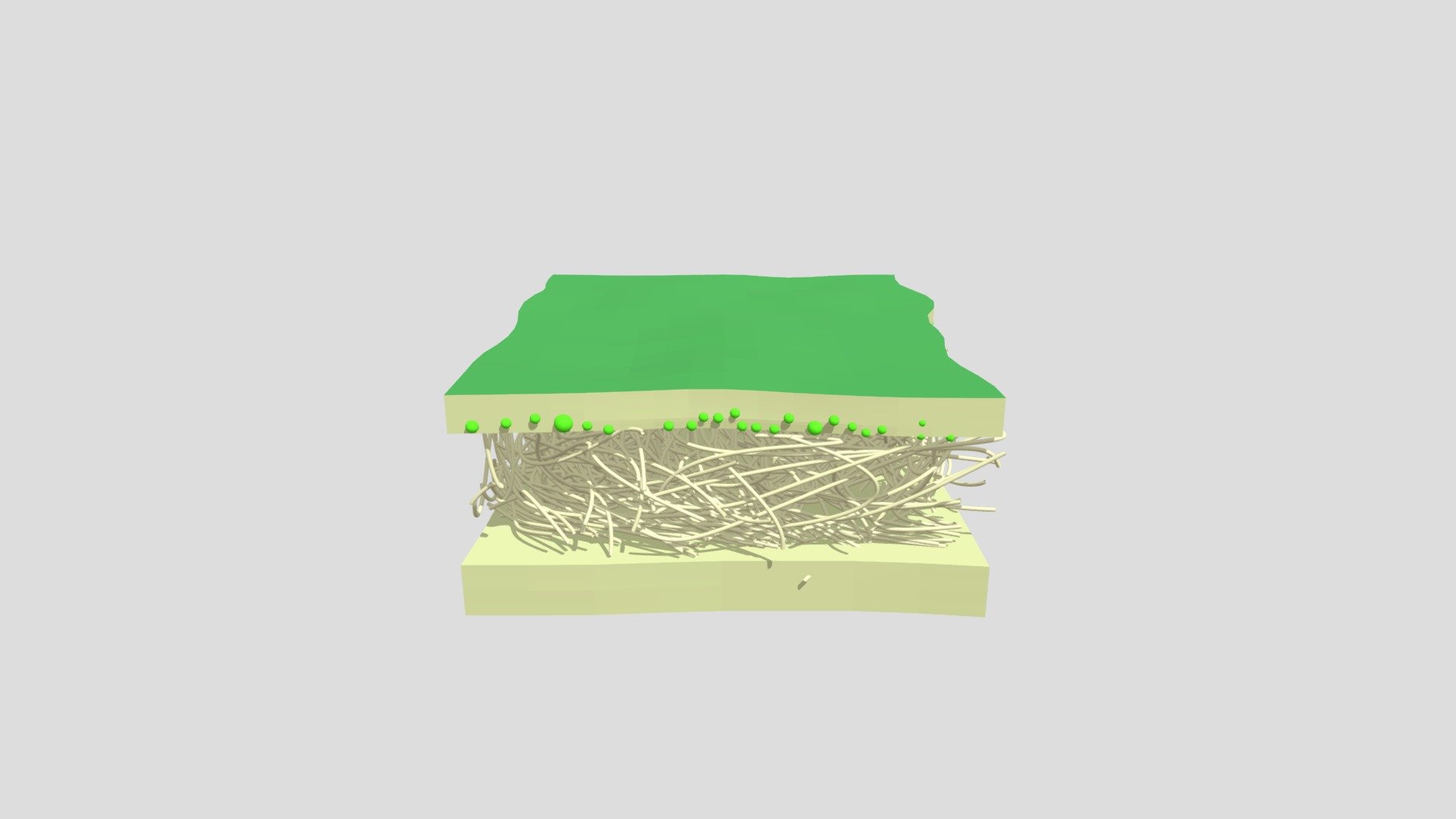 Lichen - 3D model by VR Concept (@vrconcept) [82d79e5] - Sketchfab
