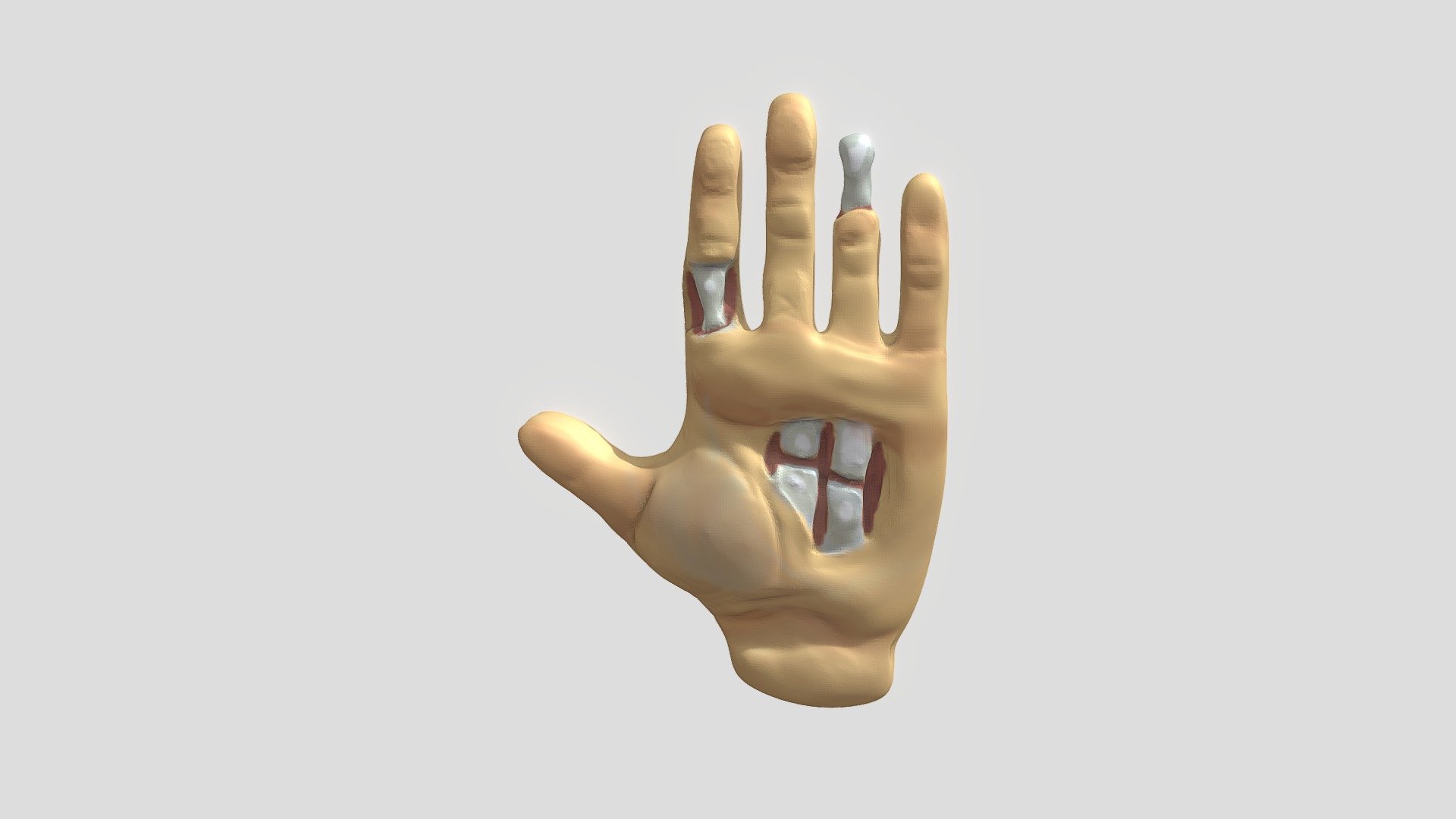 Hand Sculpt - Blender - Download Free 3D model by Annika Schwartz ...