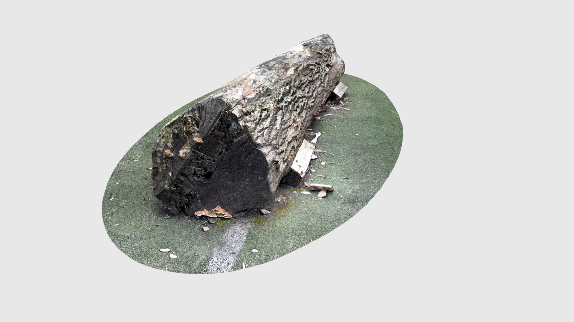 Realistic Old Tree Log Scanned Model - Buy Royalty Free 3D model by ...
