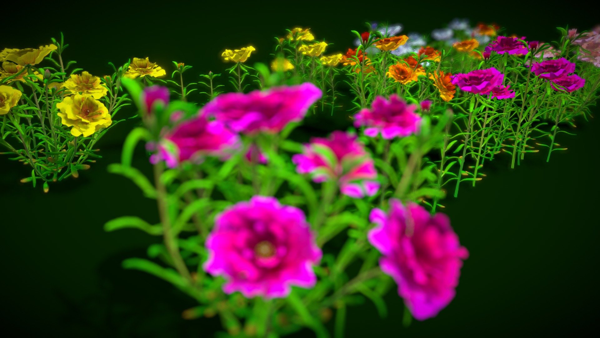 Flower Moss Rose - Buy Royalty Free 3D model by vustudios [82f76ad ...