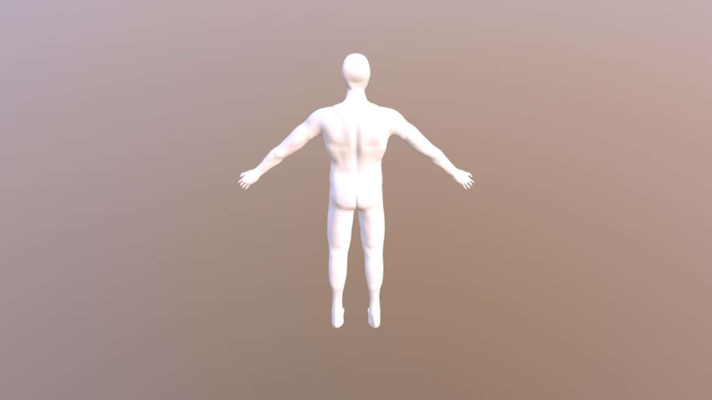 Torso - 3D model by unairf [82f7e6c] - Sketchfab