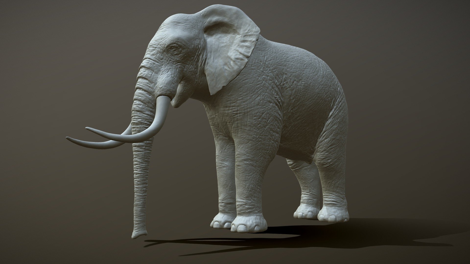 Elephant - 3D model by Old_nomad (@Viktor.Yakin) [82fa3e1] - Sketchfab