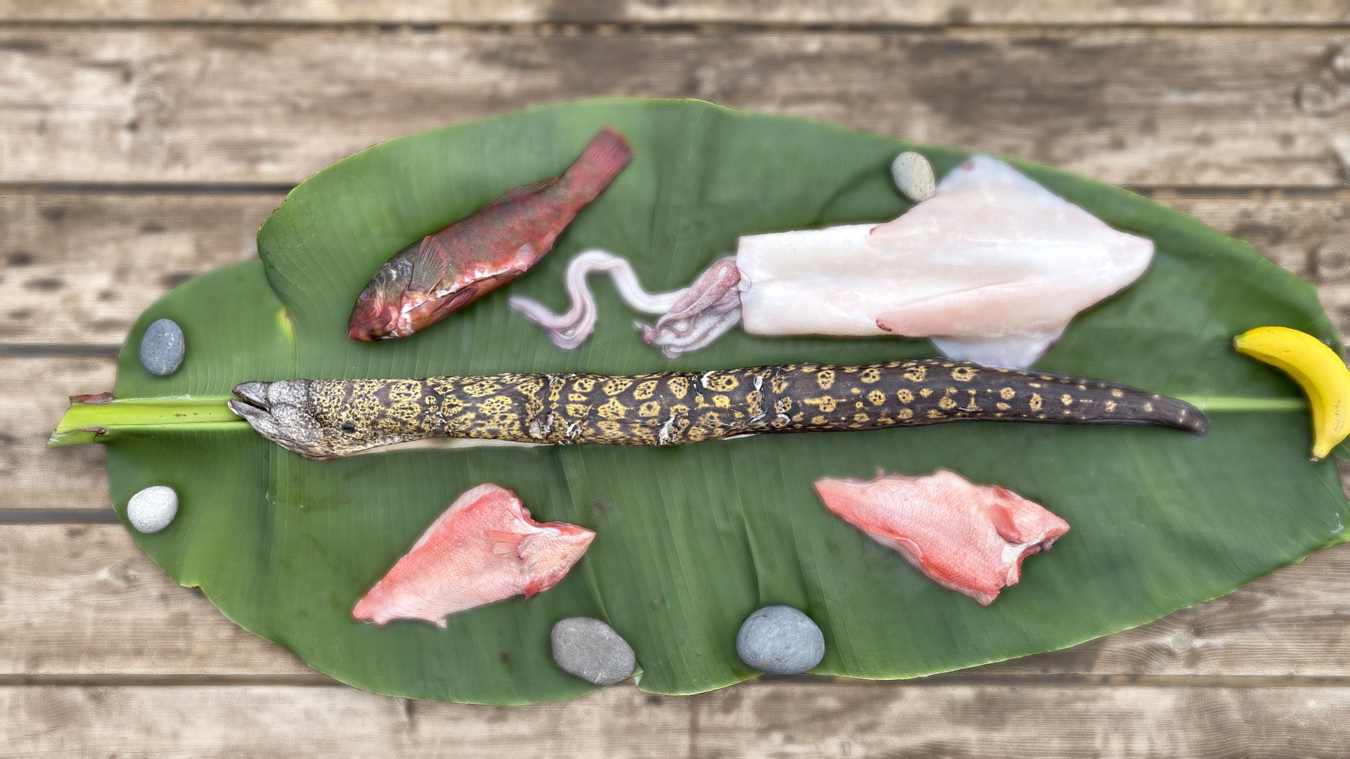 Fish plate straight from the ocean - 3D model by Zoltanfood [82fbe10 ...