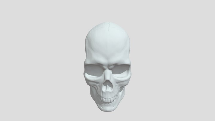 Skull 3D models - Sketchfab