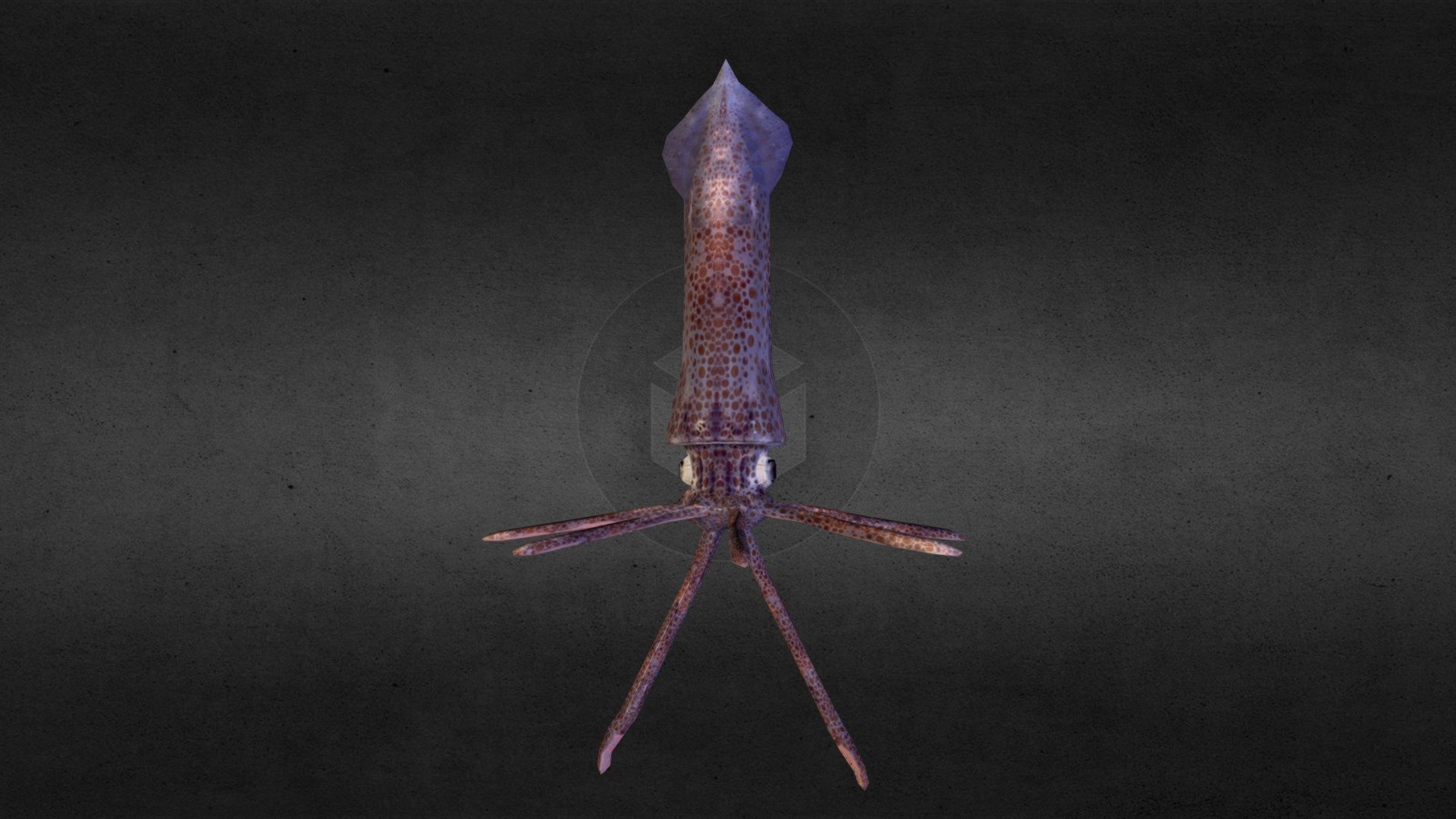 Ink Squid - 3D model by VoronaWhite [830515d] - Sketchfab