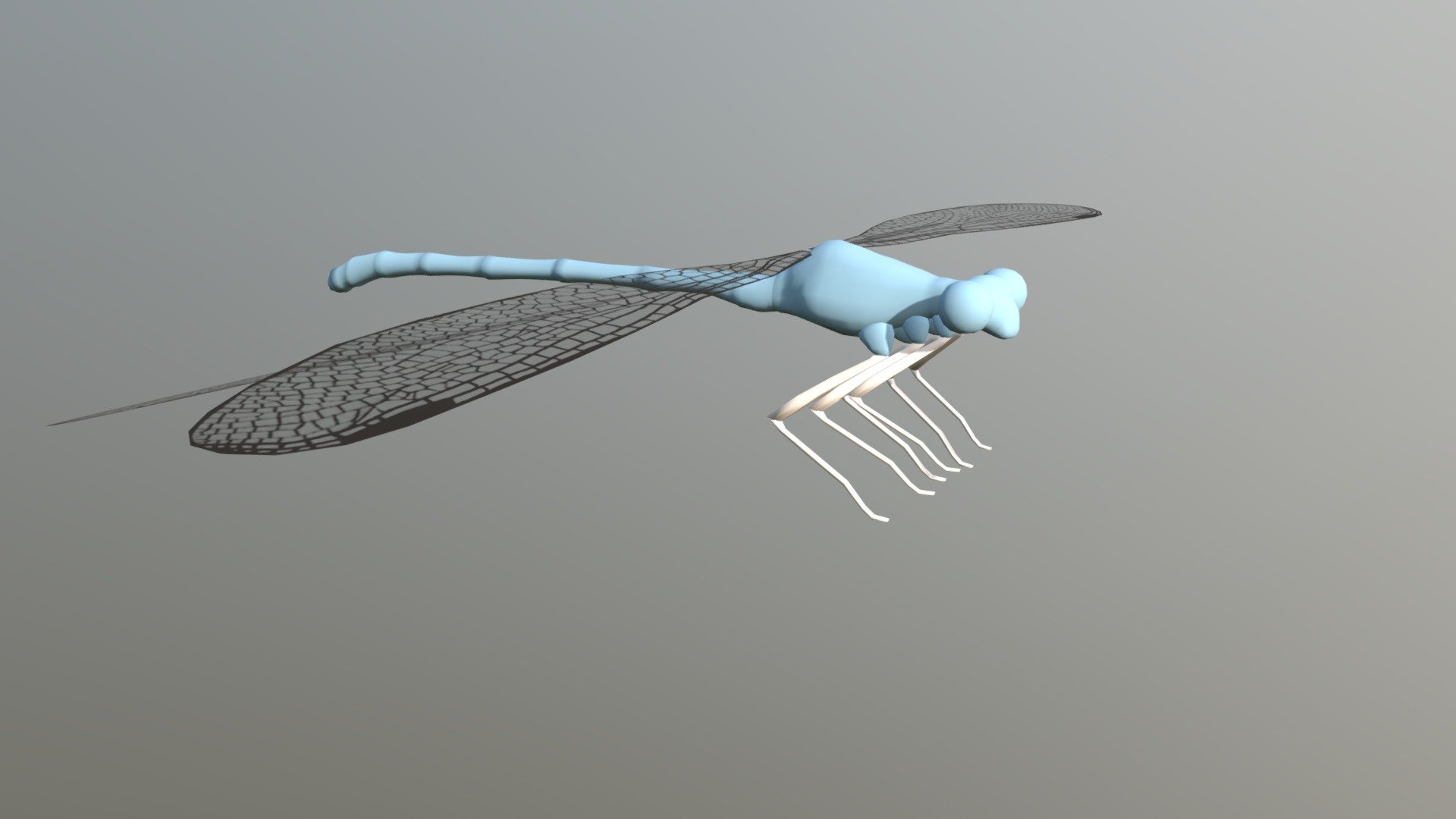 dragonFly_object.c4d - 3D model by TOMLORIENT [8308662] - Sketchfab