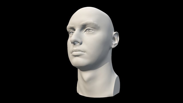 Anatomy-next 3D models - Sketchfab