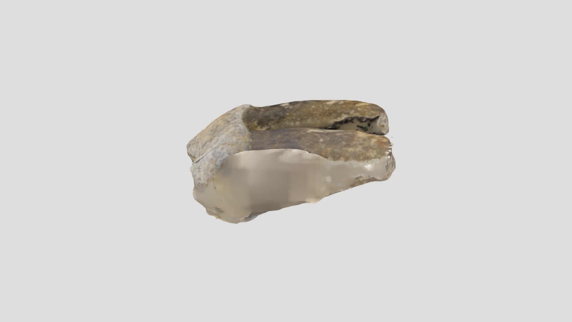 Molar - 3D model by GEDA.FACSO [8314b26] - Sketchfab