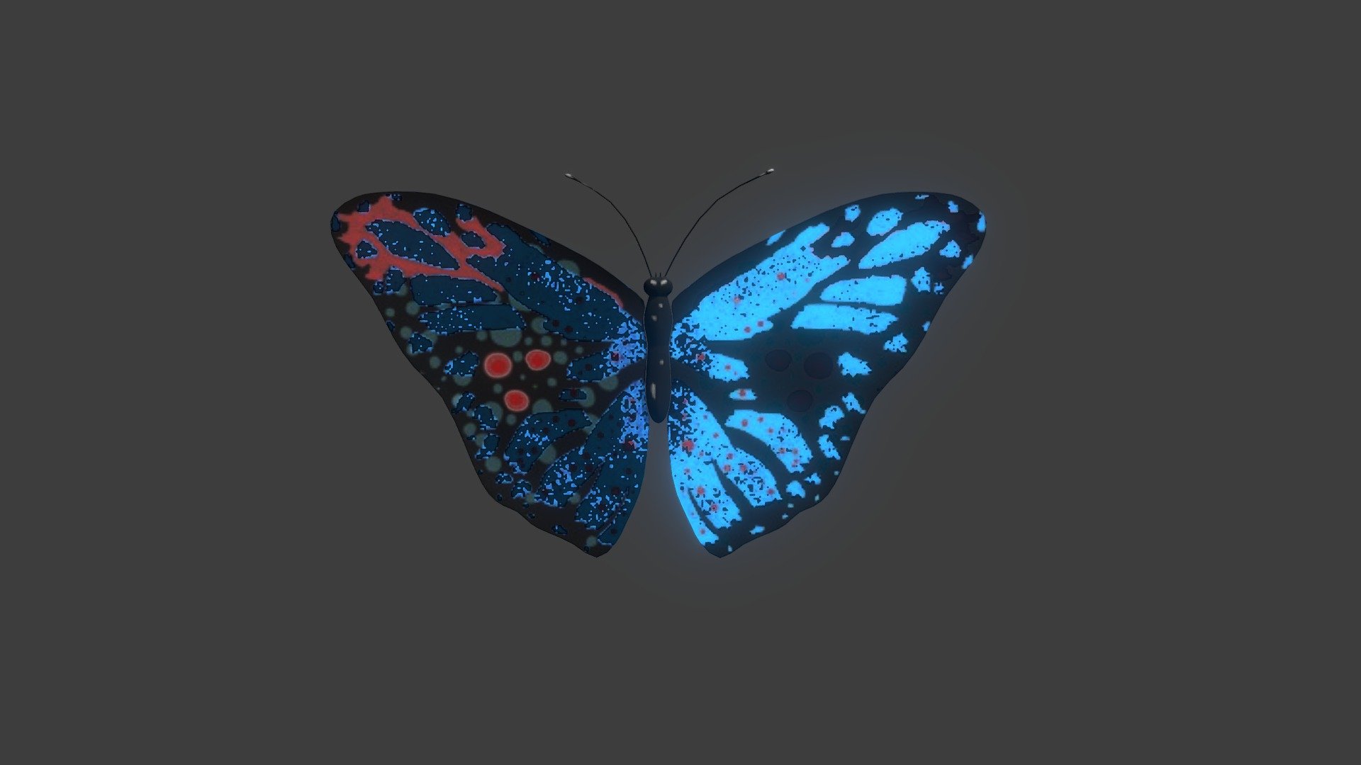 Butterfly - Download Free 3D model by NoXiou5 [8314fbc] - Sketchfab